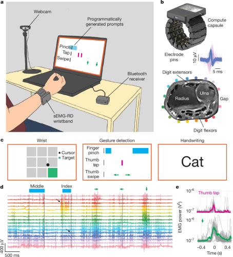 Meta開發用以手勢控制的智慧腕帶裝置 | iThome